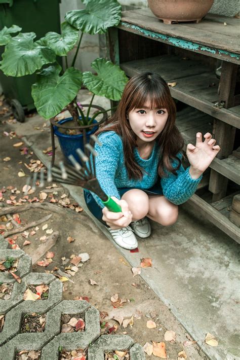 IMG 8388 Tim Chen Flickr