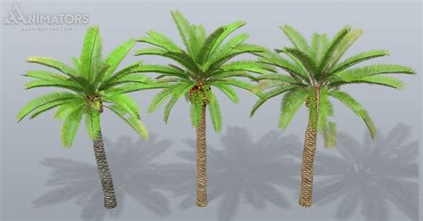 Low Poly Palm Tree 02 3d 나무 Unity Asset Store