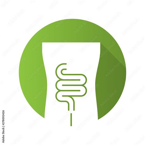 Healthy Intestine Flat Design Long Shadow Glyph Icon Human Organ In