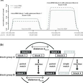 Visualization Of Block And Block Group Alignment Steps Of Download Scientific Diagram