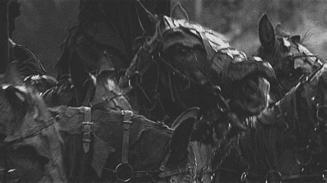 Ambar Wongraven Blog On Tumblr