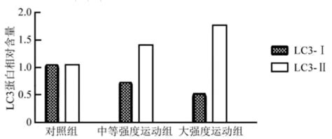 线粒体自噬时 内质网膜包裹损伤的线粒体形成自噬体 此时lc3 I蛋白被修饰形成lc3 Ii蛋白 Lc3 Ii蛋白促使自噬体与溶酶体融合 完成损伤的线粒体降解。研究人员选取 百度教育