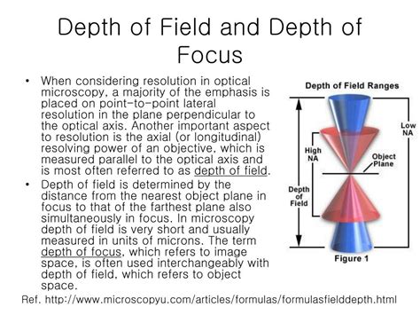Greatest Depth Of Field Microscope At Elizabeth Dunn Blog