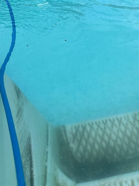 Small White Particles… R Pools