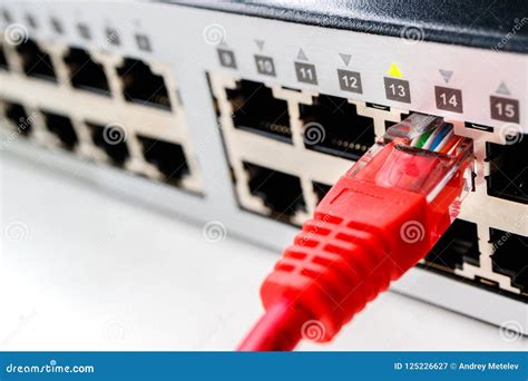 In A Large Multiport Switch Is Inserted One Red Patch Cord An ISP Switch Stock Image Image Of
