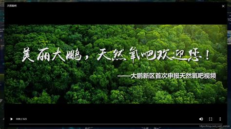 Vue3 组件示例工程（三） —— 视频组件vue3 标签展示mp4视频缩略图 Csdn博客