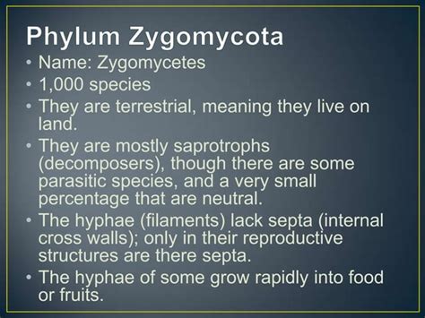 Groups And Phyla Of Fungi Pptx Biological Sciences Science
