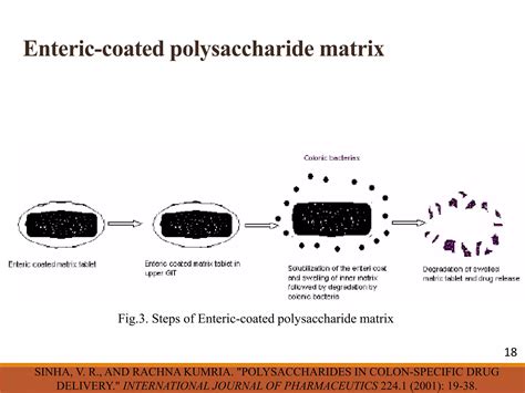 Colon Specific Drug Delivery System Pptx Digestive Disorders