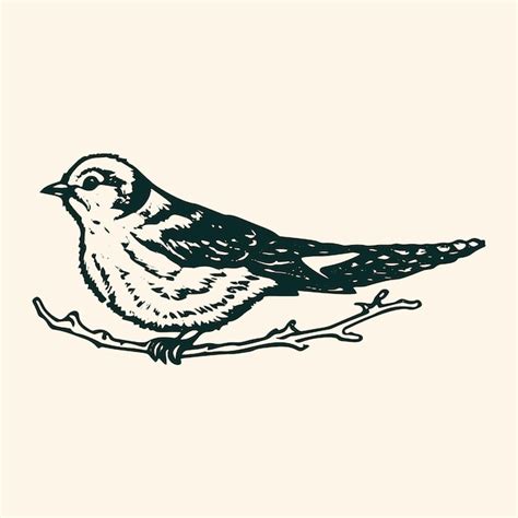 Premium Vector Vintage Bird Sketch Ornithology Vector Illustration