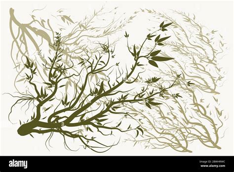 Tree And Branches Vector Illustration Stock Photo Alamy