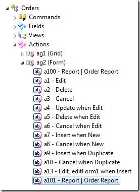 Code On Time Sample Applications Order Form Report Configuring Report Action