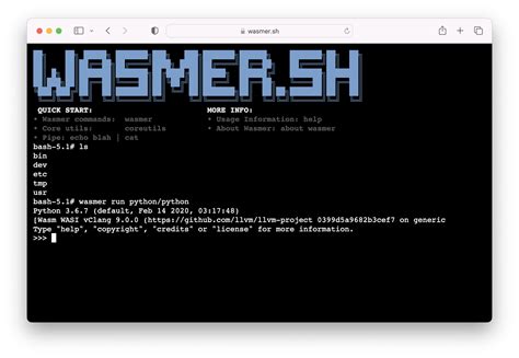 announcing wasix · blog · wasmer