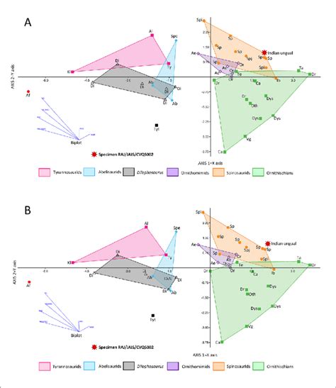 Results Of The Discriminant Function Analysis Showing The Morphospace