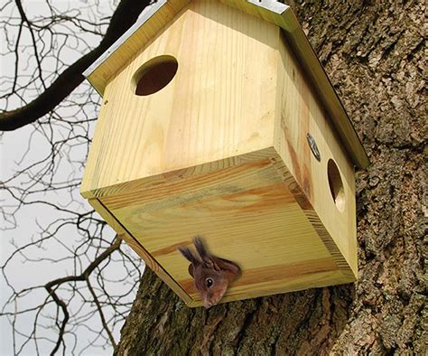 Best For Squirrels Squirrel House With Metal Roof