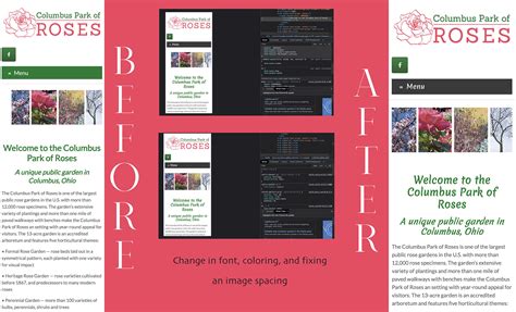 Web Design Project HTML And CSS Basics On Behance