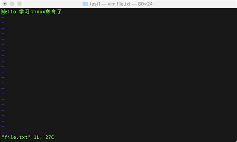 linux系统ubuntu终端用命令编辑一文件并保存 ubuntu 修改文件后保存 csdn博客