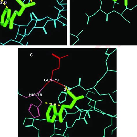 Interaction Of Human Cd40l Mimetic Molecule Download Scientific