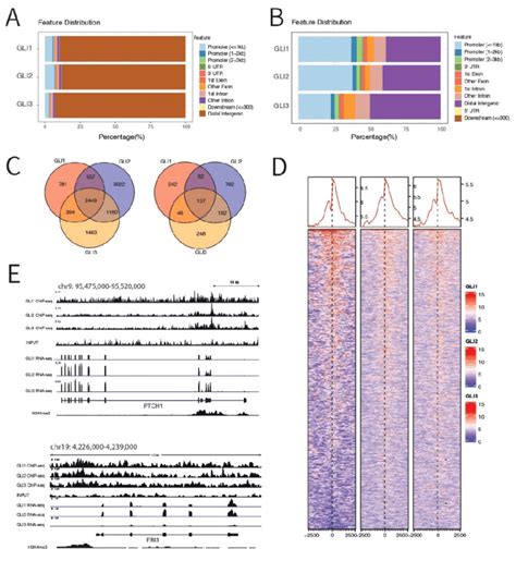 Chip Seq Analysis Of Gli1 3 Binding Across Cell Lines A Binding Of