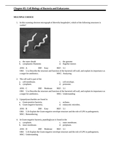 Chapter 05 Cell Biology Of Bacteria And Eukaryotes Microbiology