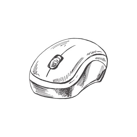 Computer Mouse Sketch