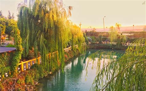 შეთავაზება 10 სტუმარზე რესტორანში `კარაველა`