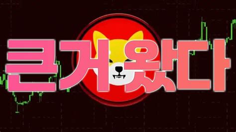 시바이누코인 전망 역대급 호재떴다 10만배 상승재료 시바이누코인 밈코인 시바이누 비트코인 뉴스 코인물어보살 Youtube