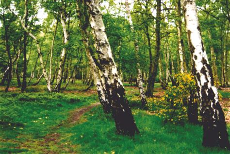 Anna Cendrowicz — Apa