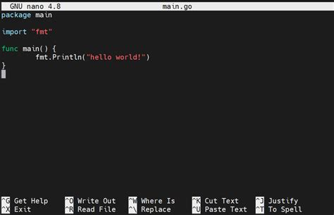 building and installing go programs cloudsigma