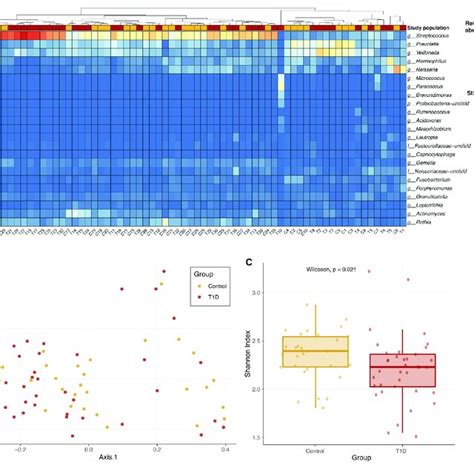 Rna Seq Results And Go Functional Analysis A Heatmap Of Up And Download Scientific Diagram