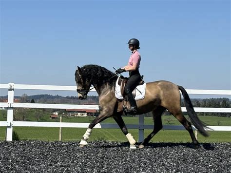 Projecto02 Keypoint Detection Dataset By Detection