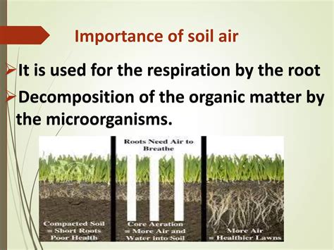 Soil Air Composition And Soil Aeration Pptx