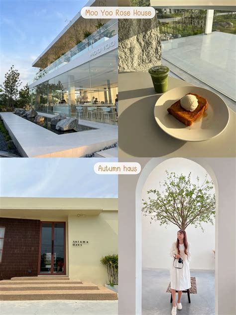 รวมพิกัด 15 คาเฟ่นครปฐม 🌼 คาเฟ่น่ารัก ถ่ายรูปสวย แกลเลอรีที่โพสต์โดย Triptamjai Lemon8