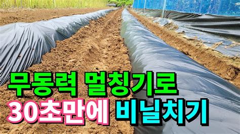 김장배추 3줄 획기적인 비닐멀칭 무동력 비닐멀칭 Easy And Fast Kimchi Cabbage Field Vinyl Mulching Youtube