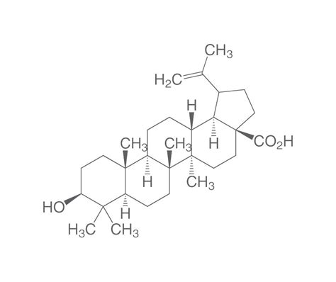 Betulinic Acid Further Reference Substances For Hplc Reference