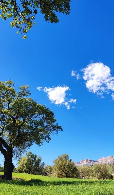 عکس های پس زمینه طبیعت بهترین تصاویر طبیعت پیشنهادی تاوعکس