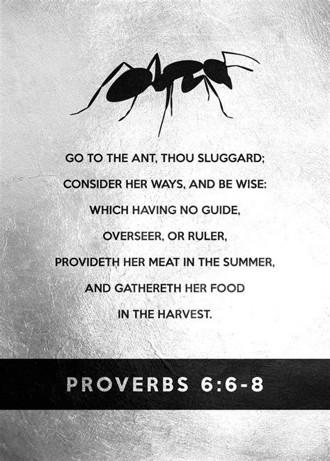 Proverbs 6 6 8 Poster By Abconcepts Displate