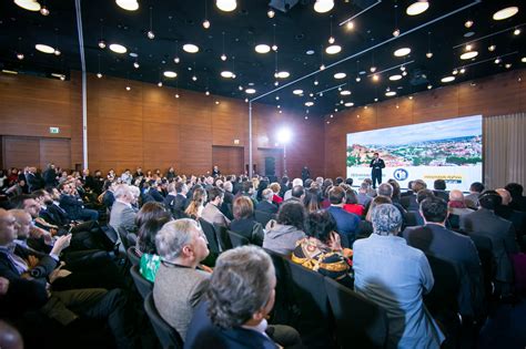 მოსკოვის და სარაჯიშვილის გამზირების ხეივნების რეაბილიტაცია იწყება რადიო ფორტუნა Fortuna Ge