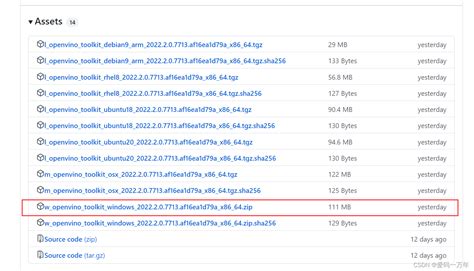 【openvino】openvino 2022 1更新2022 2教程 openvino中文手册 csdn博客