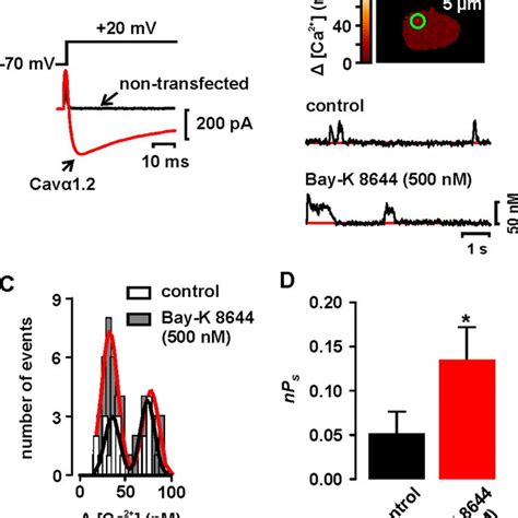Ca²⁺ Sparklets In A Heterologous Expression System A Ca²⁺ Current