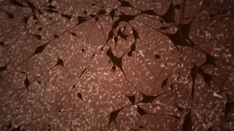Animated Neuron Field Hd 1080p 동영상 158800265 게티이미지뱅크
