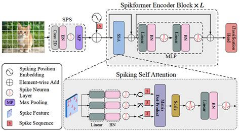 研读 Spikformer 当脉冲神经网络遇上transformer 知乎