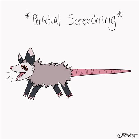 Silly Little Angry Opossum By Tempestarts15 On Deviantart