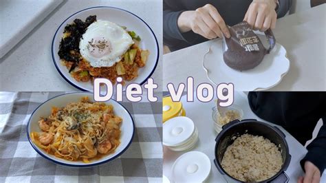 Sub Diet Vlog 간식은 꼭 챙기는 다이어트 식단 브이로그 배추두부면볶음 매콤참치볶음밥 통밀당 초코파이