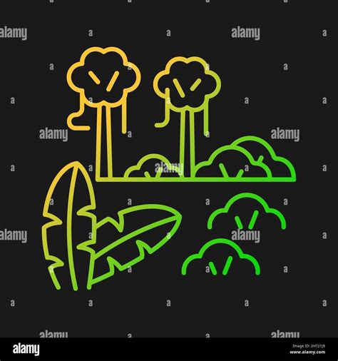 Tropical Forest Gradient Vector Icon For Dark Theme Stock Vector Image And Art Alamy