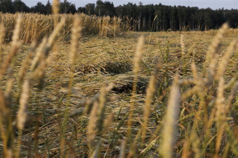 Latvia Is Close To Declaring An Emergency Situation In Farming Baltic News Network