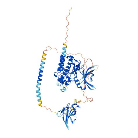 Rcsb Pdb Af Afp37173f1 Computed Structure Model Of Tgf Beta Receptor Type 2