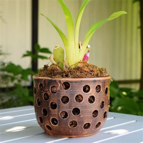 Orchid Pots