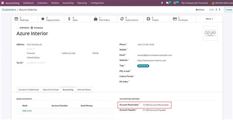 Balance Sheet Features In Odoo 16