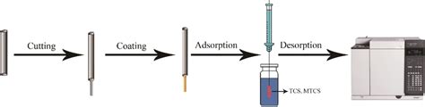 Recent Advances In Solid Phase Microextraction With Various Geometries