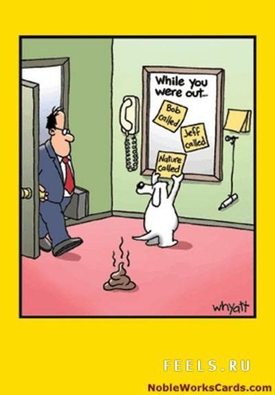 Funny Cartoons 006 Funny Cartoons Funny Cartoons Jokes Funny Comics